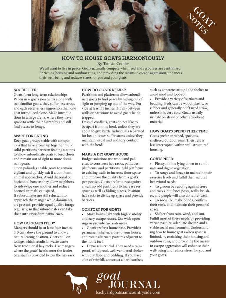 How to House Goats Harmoniously - Goat Journal